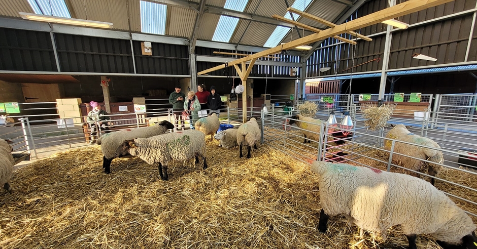 Harlow Pets Corner - Animal Sanctuary in Harlow, Harlow - Visit Essex