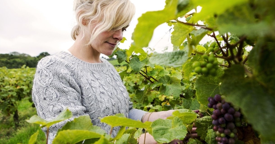 Purleigh - Village in Purleigh, Maldon - Visit Essex