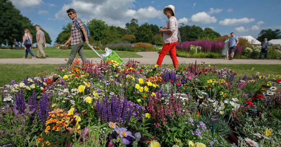 Hyde Hall Flower Show - Gardening Event in Chelmsford, Chelmsford ...