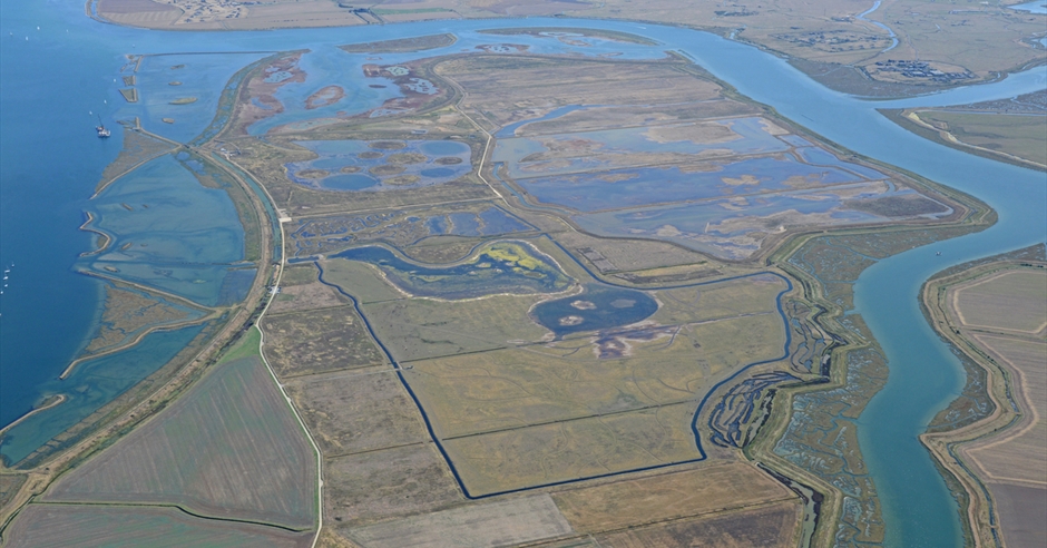 RSPB Wallasea Island - Nature Reserve in Rochford, Rochford - Visit Essex