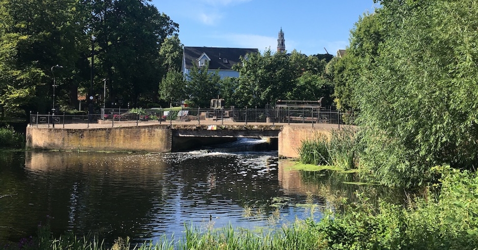 Life on the River - Castle Park - Wildlife & Nature Event in COLCHESTER ...