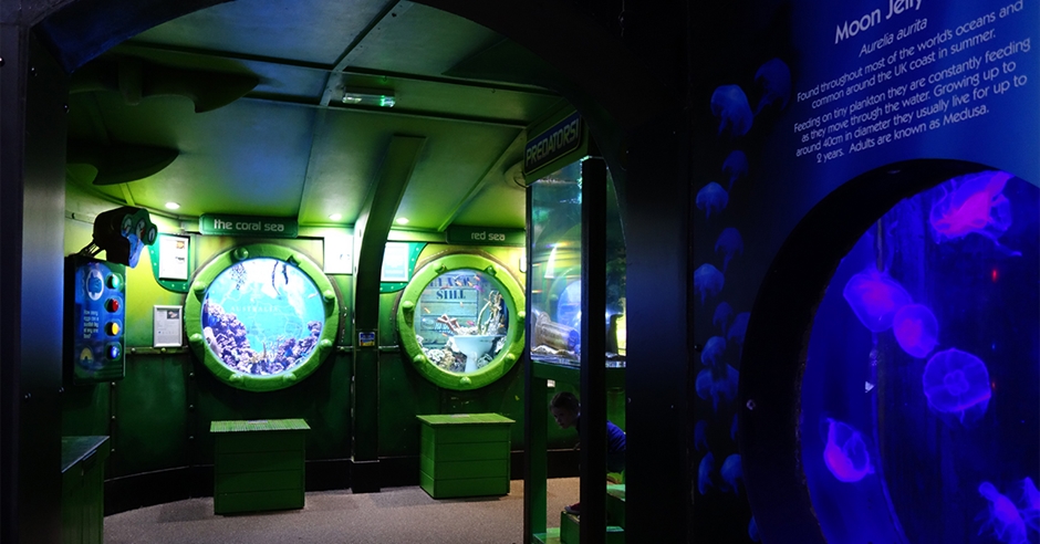 Sealife Adventure - Aquarium in Southend-on-Sea, Southend-on-Sea ...