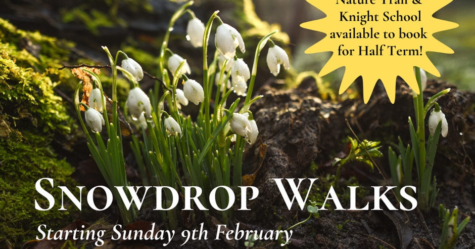 Snowdrop Walks - Children's Activity Event in HALSTEAD, Halstead ...