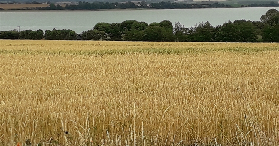 Wrabness Circular walk - Walking Route in Manningtree, Manningtree ...