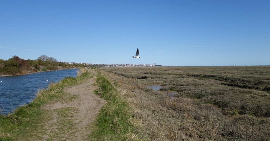 Two Tree Island - Nature Reserve in Leigh-on-Sea, Leigh-on-Sea - Visit ...