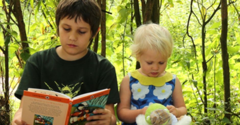 Family Forest Fun - Children's Activity Event in Billericay, Billericay ...