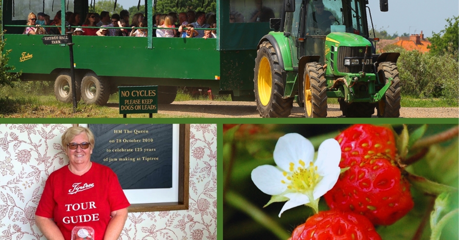 Public Farm Tours at The Tiptree Tea Room - Guided Tour in Tiptree ...