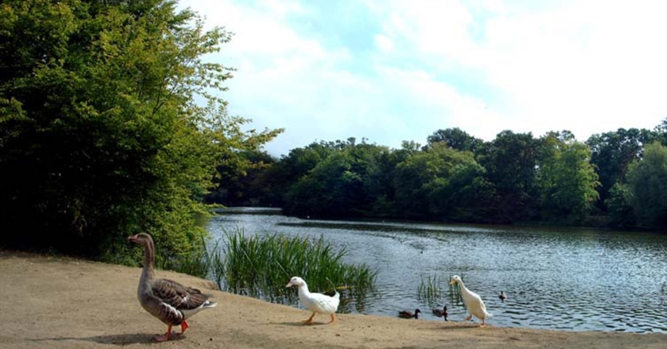 Danbury - Village in Danbury, Chelmsford - Visit Essex