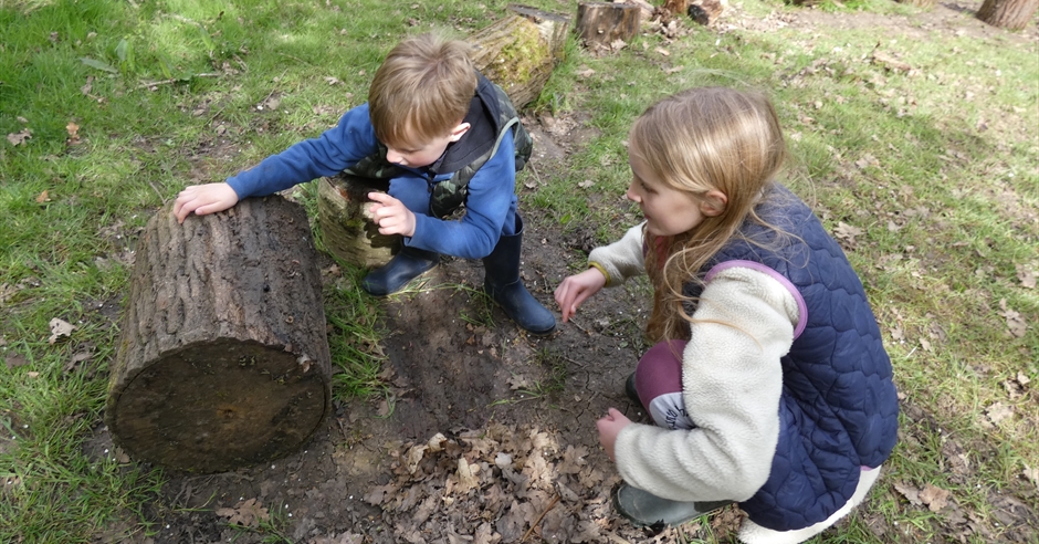Wilder Holiday Club - Children's Activity Event in Colchester ...