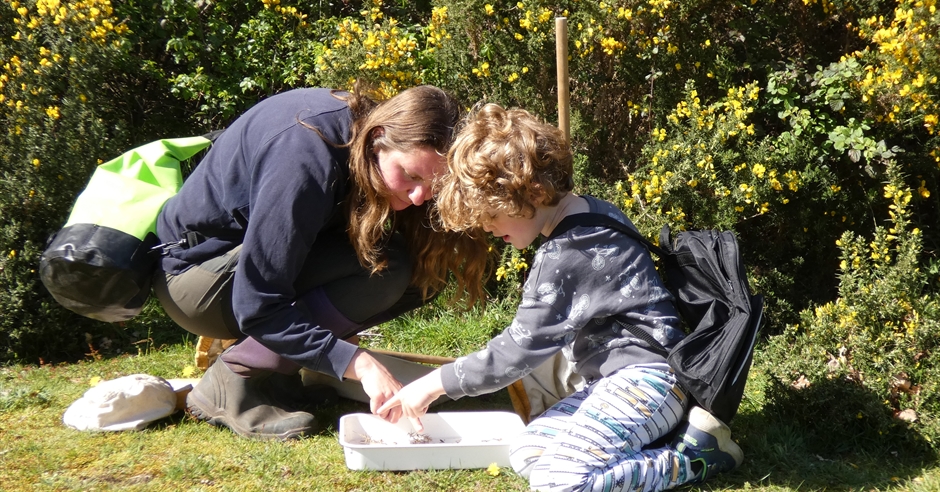 Wilder Holiday Club - Children's Activity Event in Colchester ...