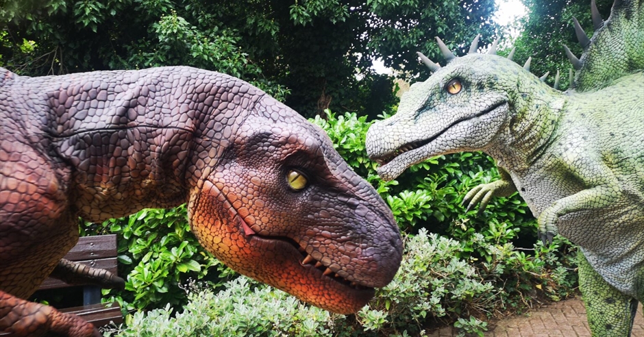 Dino Discovery Day at Colchester Zoo - Family Event in Colchester ...