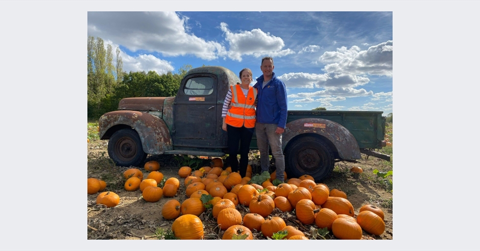 The Pumpkin Patch PYO - Children's Activity Event in Basildon, Basildon ...