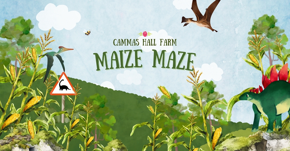 Maize Maze - Family Event in Hatfield Broad Oak, Stansted - Visit Essex