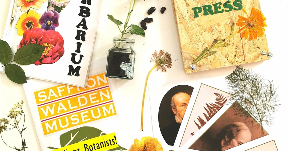 Saffron Walden Museum - Museum in Saffron Walden, Saffron Walden ...