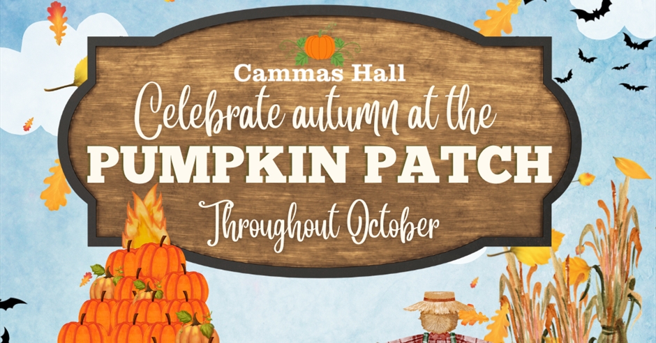Halloween Pumpkin Patch at Cammas Hall Farm - Children's Activity Event ...