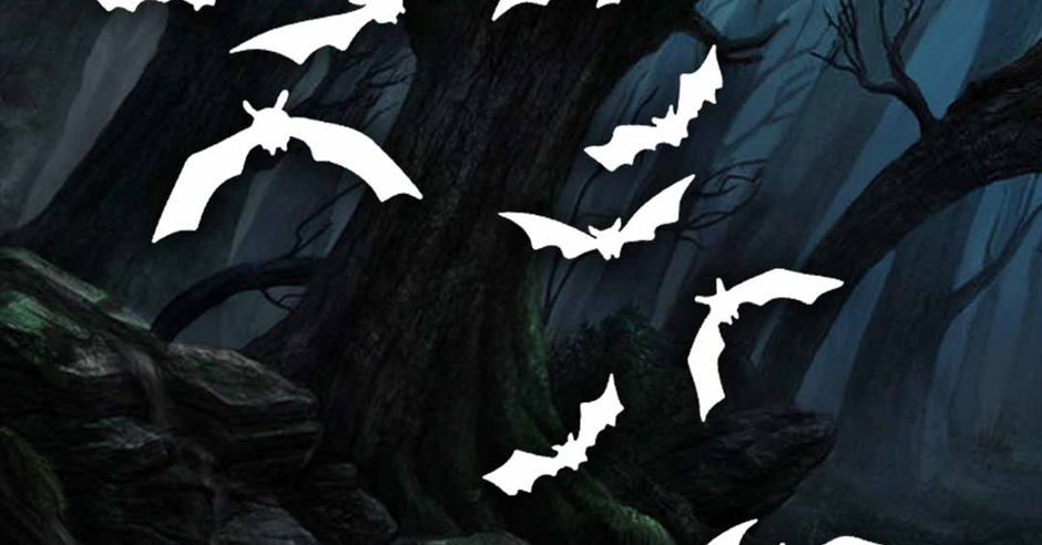 WEDNESDAY - Children's Activity Event in Chelmsford, South Woodham ...