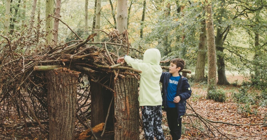 Wild Saturday - Children's Activity Event in Coggeshall, Coggeshall ...