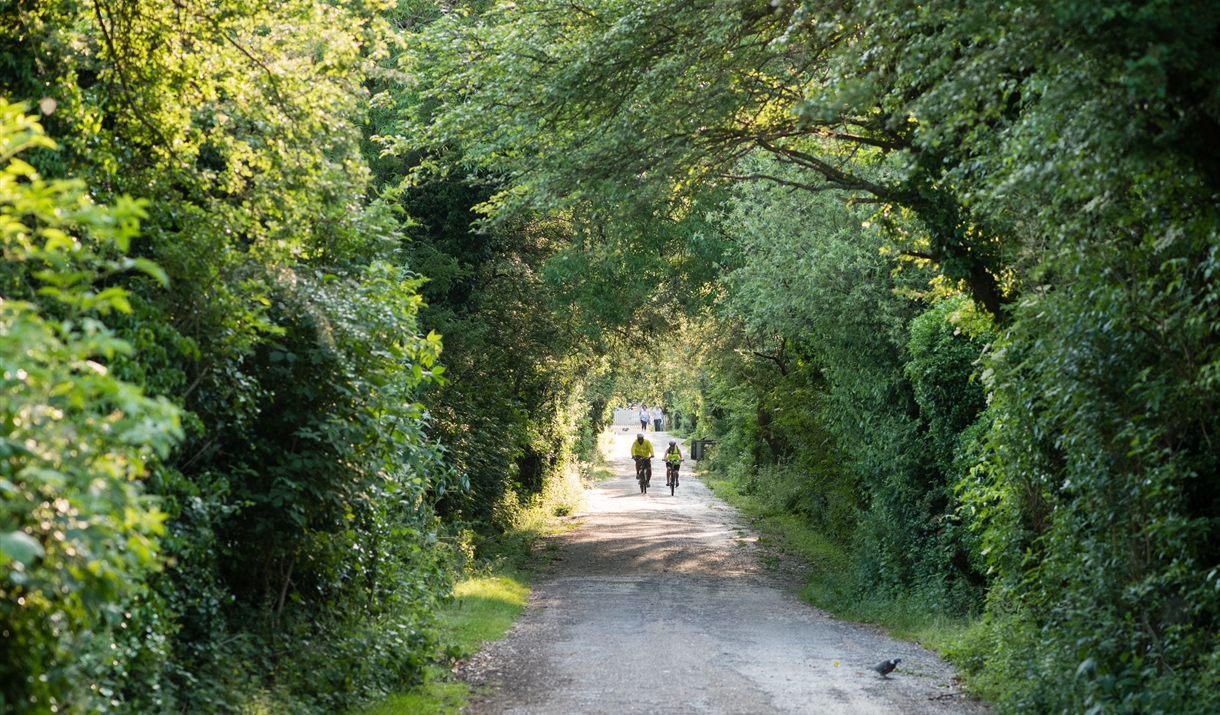 Walking & Cycling around the Lee Valley - Walking Route in Waltham ...