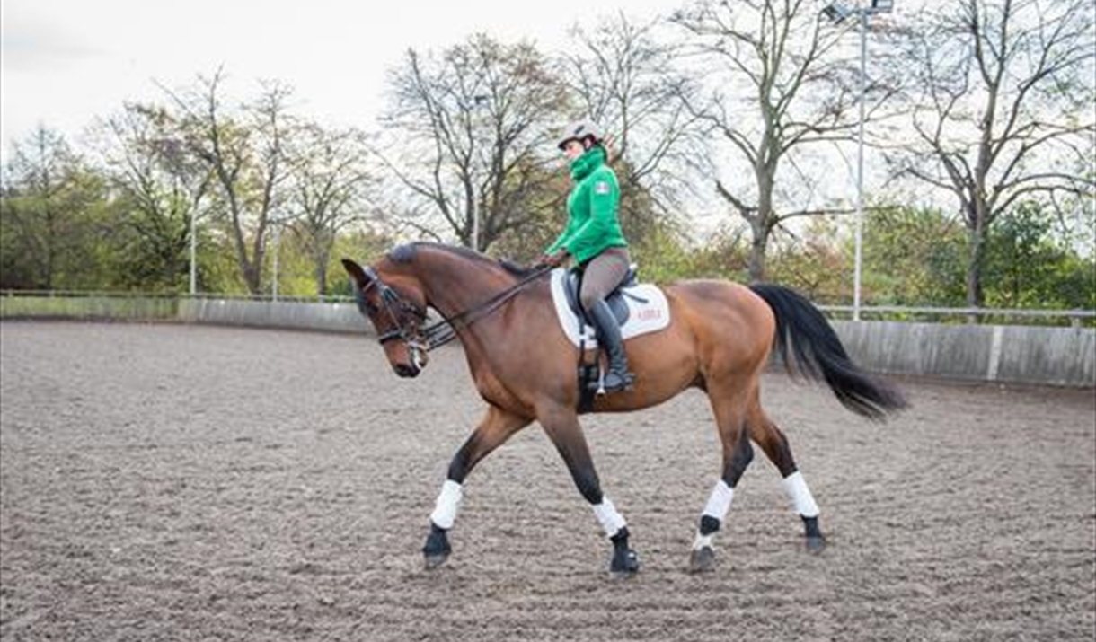 Lee Valley Riding Centre - Horse Riding in Leyton, Waltham Abbey ...