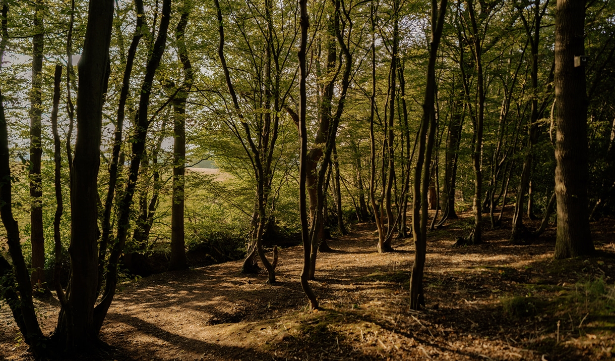 Little Baddow - Village in Little Baddow, Chelmsford - Visit Essex