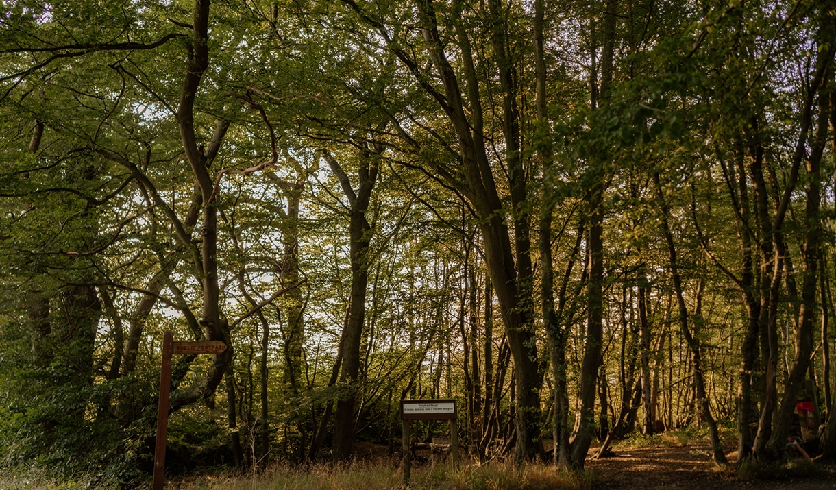 Little Baddow - Village in Little Baddow, Chelmsford - Visit Essex