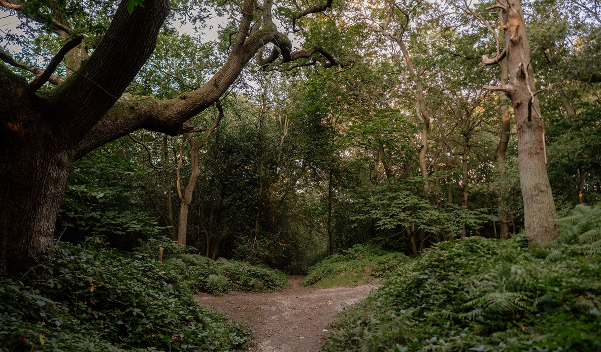 Little Baddow - Village in Little Baddow, Chelmsford - Visit Essex