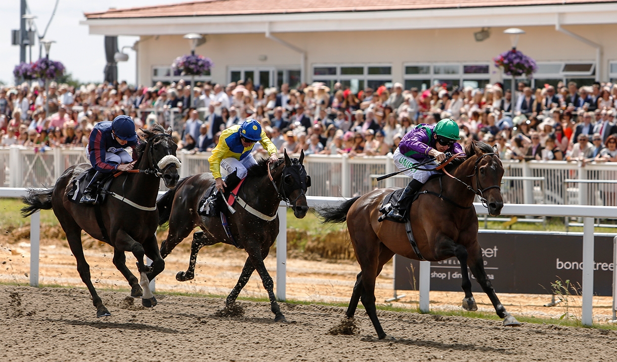 Chelmsford City Racecourse - Racecourse in Chelmsford - Visit Essex