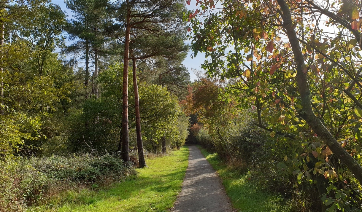 Hanningfield Nature Discovery Park - Nature Reserve in Billericay ...