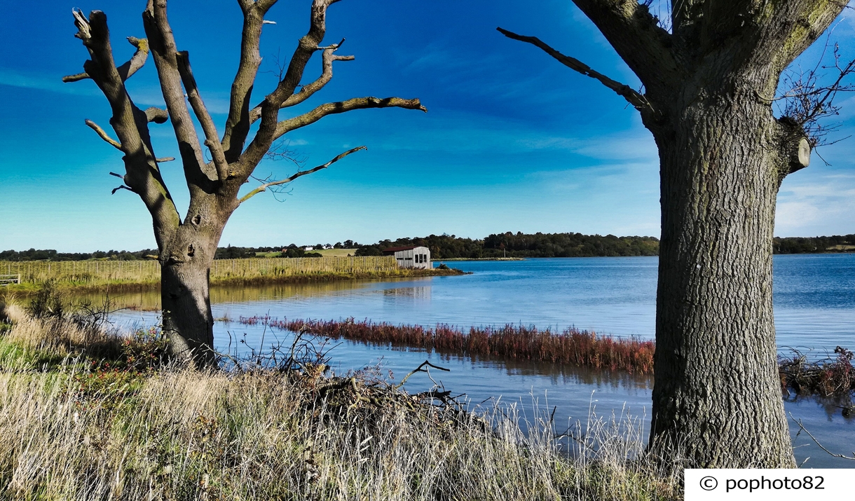 Fingringhoe Wick Nature Discovery Park - Nature Reserve in Colchester ...