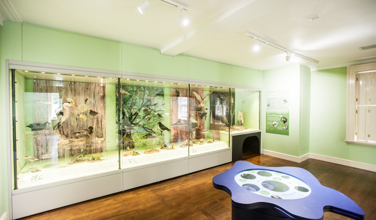 Prittlewell Priory - Museum in Southend, Southend-on-Sea - Visit Essex