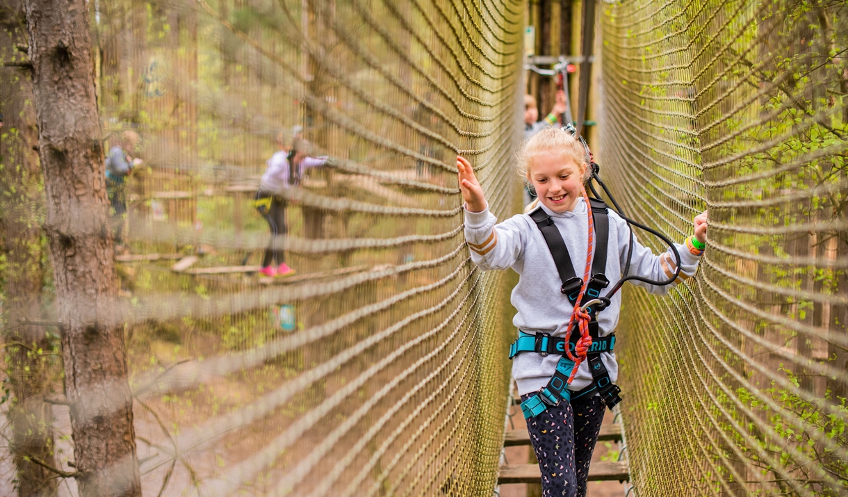 Go Ape Chelmsford - Ropes Course in Chelmsford, Chelmsford - Visit Essex