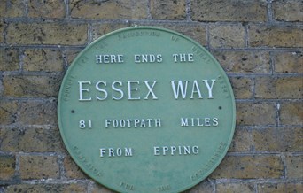 Activities - Visit Essex