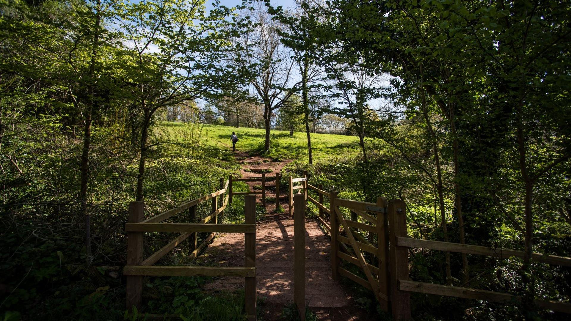 Walking in Exeter