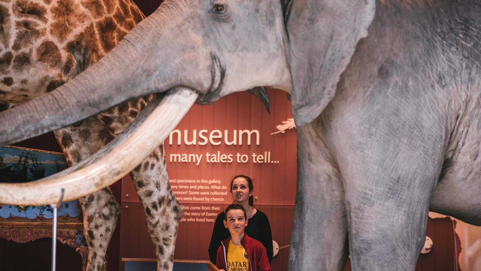 All Year Round Attractions in Exeter