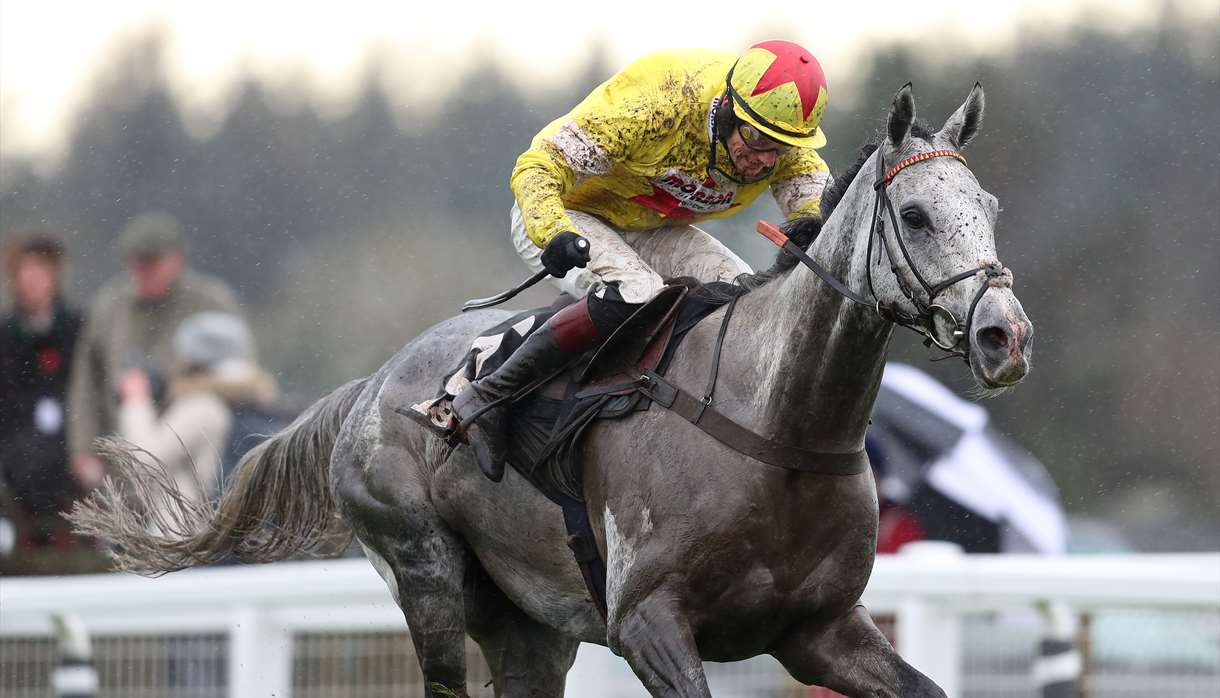 Exeter Racecourse - Sports Ground/Stadium in Exeter, Exeter - Visit Exeter