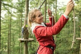 Go Ape! Haldon - Adventure Park/Playground in Exeter - Visit Exeter