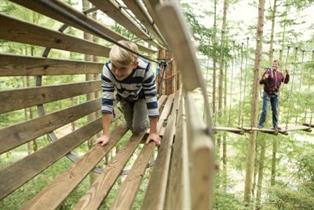 Go Ape! Haldon - Adventure Park/Playground in Exeter - Visit Exeter