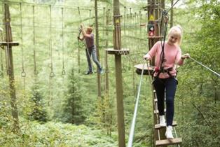 Go Ape! Haldon - Adventure Park/Playground in Exeter - Visit Exeter