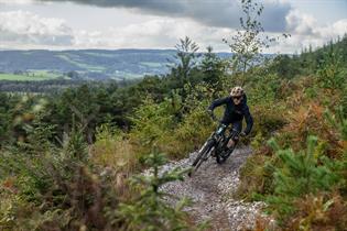 Haldon Forest Park - Forestry England - Country Park/Nature Reserve in ...