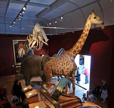 Explore 16 galleries at the Royal Albert Memorial Museum (RAMM ...