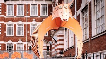 Exeter Phoenix - Arts Centre in Exeter, Exeter - Visit Exeter