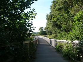 The Exe Estuary Trail - Cycle Route in Exeter, Devon - Visit Exeter