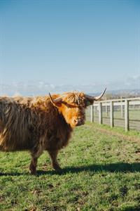 Greendale Farm Shop - British in EXETER, Exeter - Visit Exeter