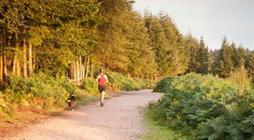 Haldon Forest Park - Forestry England - Country Park/Nature Reserve in ...
