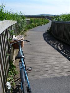 The Exe Estuary Trail - Cycle Route in Exeter, Devon - Visit Exeter