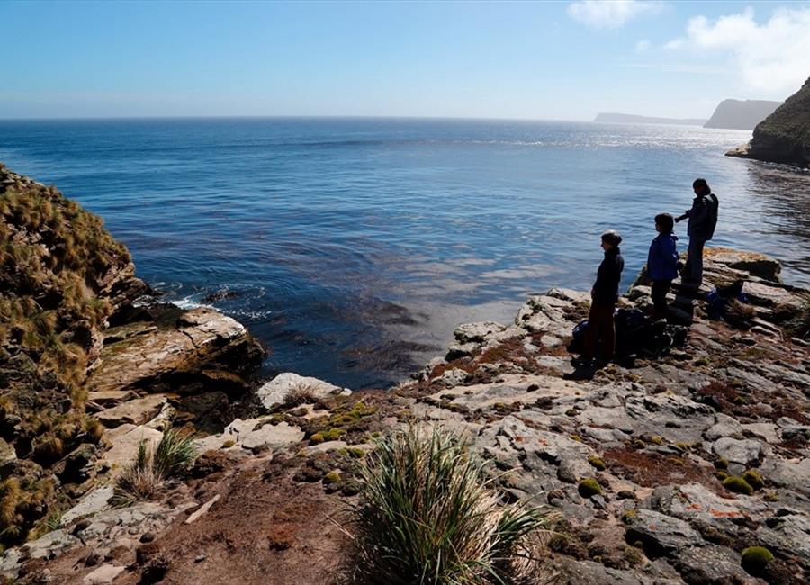 Blog (beaches) - Falkland islands