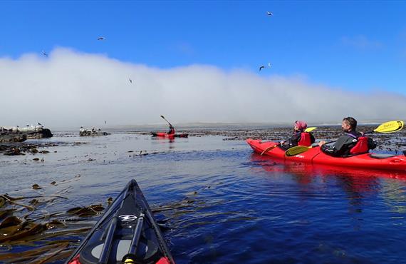 Stanley - Capital of the Falkland Islands | www.falklandislands.com