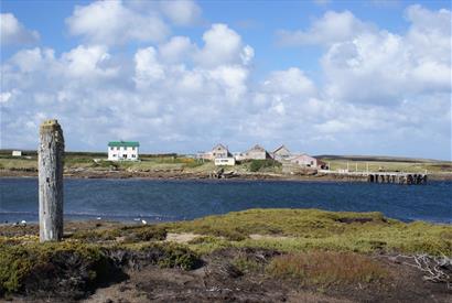 Visit The Falkland Islands | Falklands