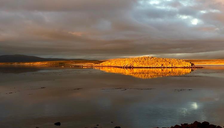 Boxwood Pod - Self-Catering (Settlement) in Hill Cove, West Falklands ...