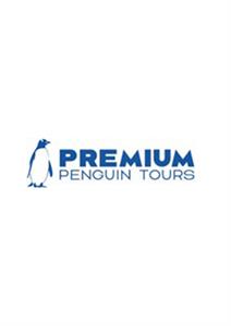 Premium Penguin Tours - Local Tours in Stanley, Stanley - Falkland islands